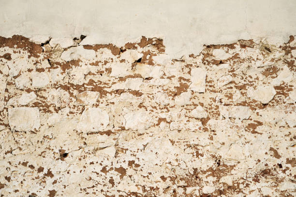 Limewash Pictures | Download Free Images on Unsplash