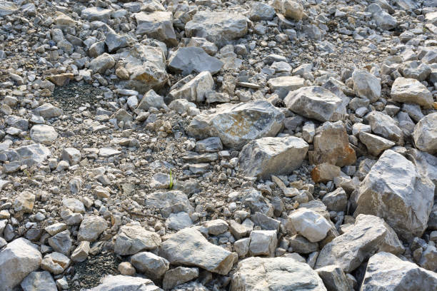 Free Stock Photo of A group of rocks on the ground | Download Free ...