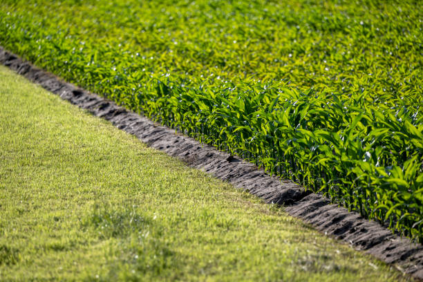 Agri Pictures | Download Free Images on Unsplash