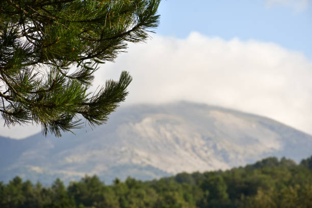 Free picture: nature, landscape, cloud, mountain, wood, sky, tree ...