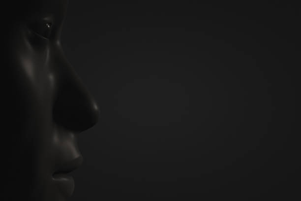 500+ Low Contrast Pictures | Download Free Images on Unsplash