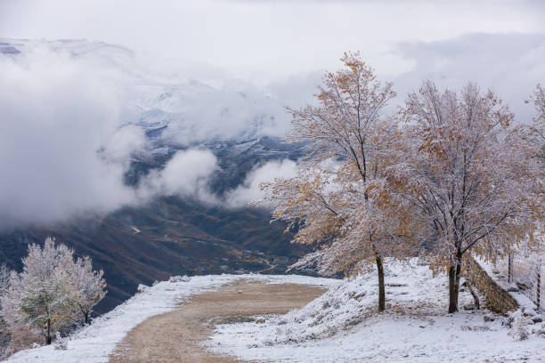 Free Stock Photo of Heavy snow fall over rural mountain path | Download ...