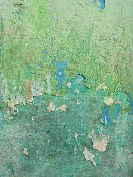 Green Wall Texture Pictures | Download Free Images on Unsplash