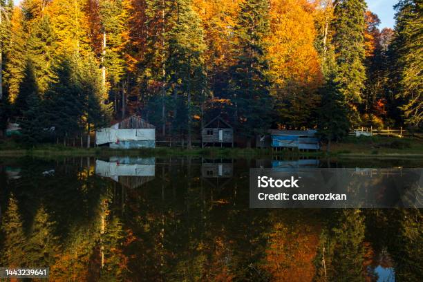 Purenli Plateau Stock Photo - Download Image Now - Autumn, Beauty ... Purenli Plateau Stock Photo - Download Image Now - Autumn, Beauty ...