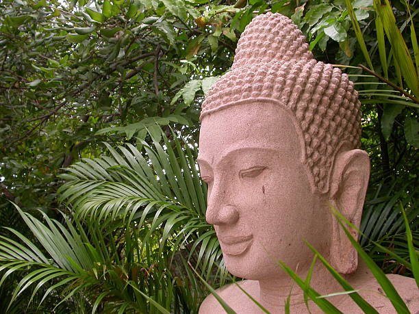 Free Stock Photo of Buddha Statue Surrounded by Green Leaves | Download ...