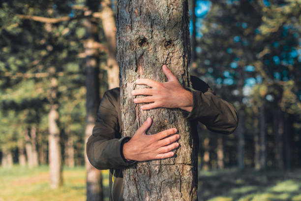 Tree Hugging Pictures | Download Free Images on Unsplash