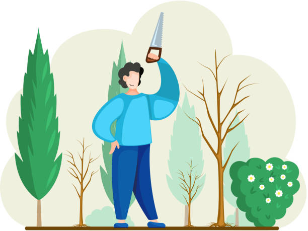 80+ Cutting Tree Backyard Illustrations, Royalty-Free Vector Graphics ... 80+ Cutting Tree Backyard Illustrations, Royalty-Free Vector Graphics ...