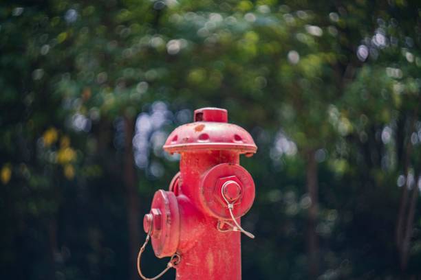 Free Stock Photo of Red Fire Hydrant on Roadside | Download Free Images ...