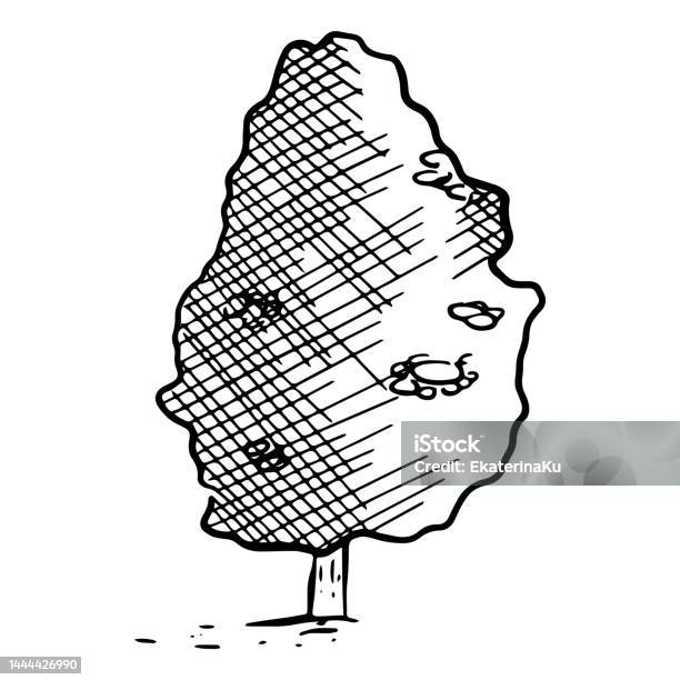 Illustration Vectorielle Isolée Dun Croquis En Noir Et Blanc Dun Arbre