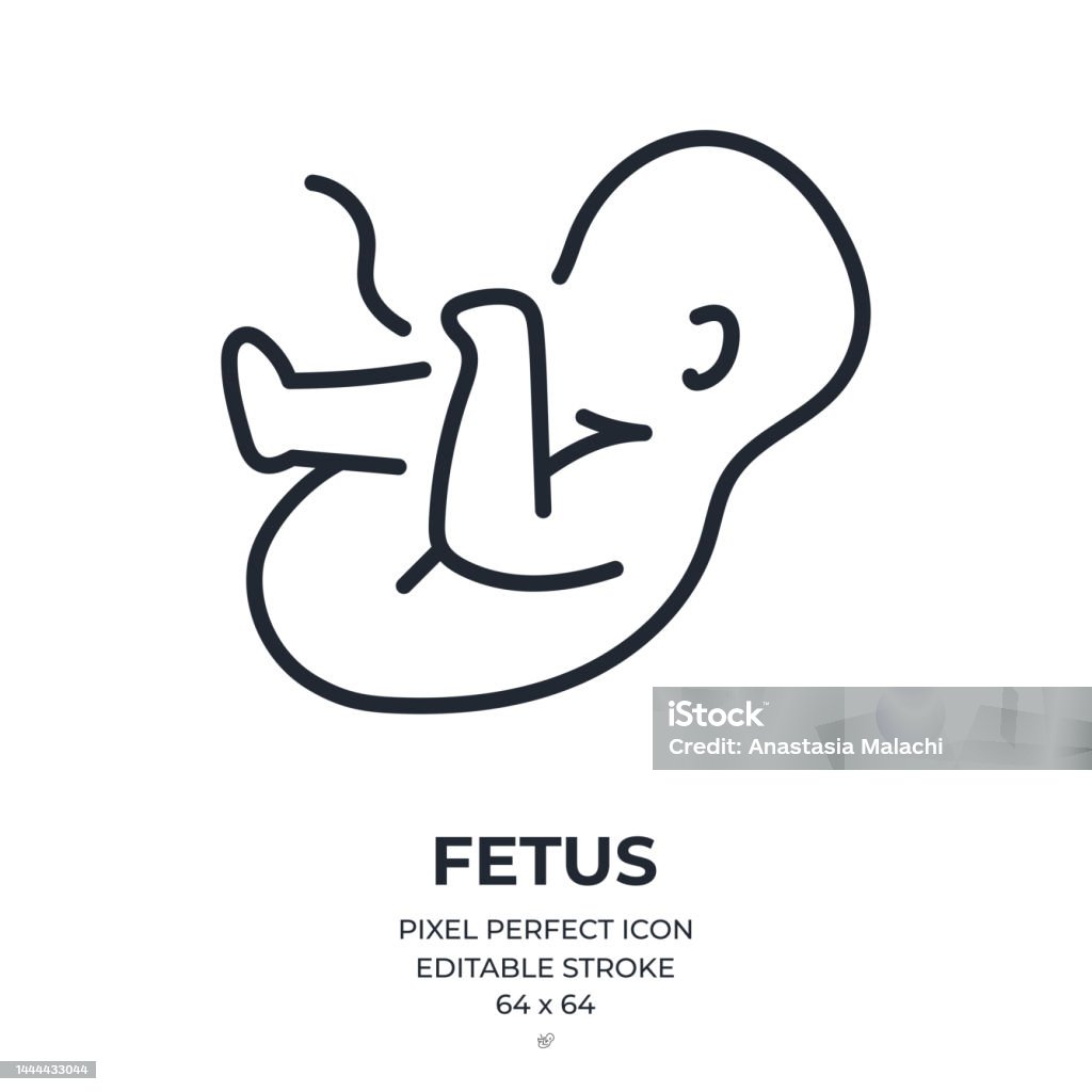 Fœtus Et Grossesse Icône De Contour De Trait Modifiable Isolée Sur Fond