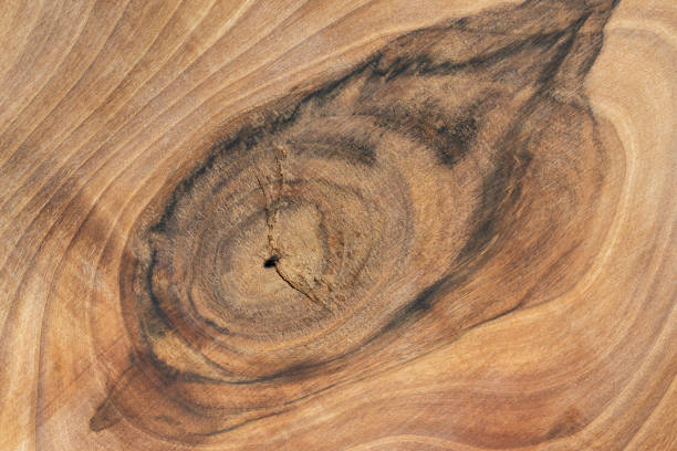 Free picture: Cross section knot timber texture
