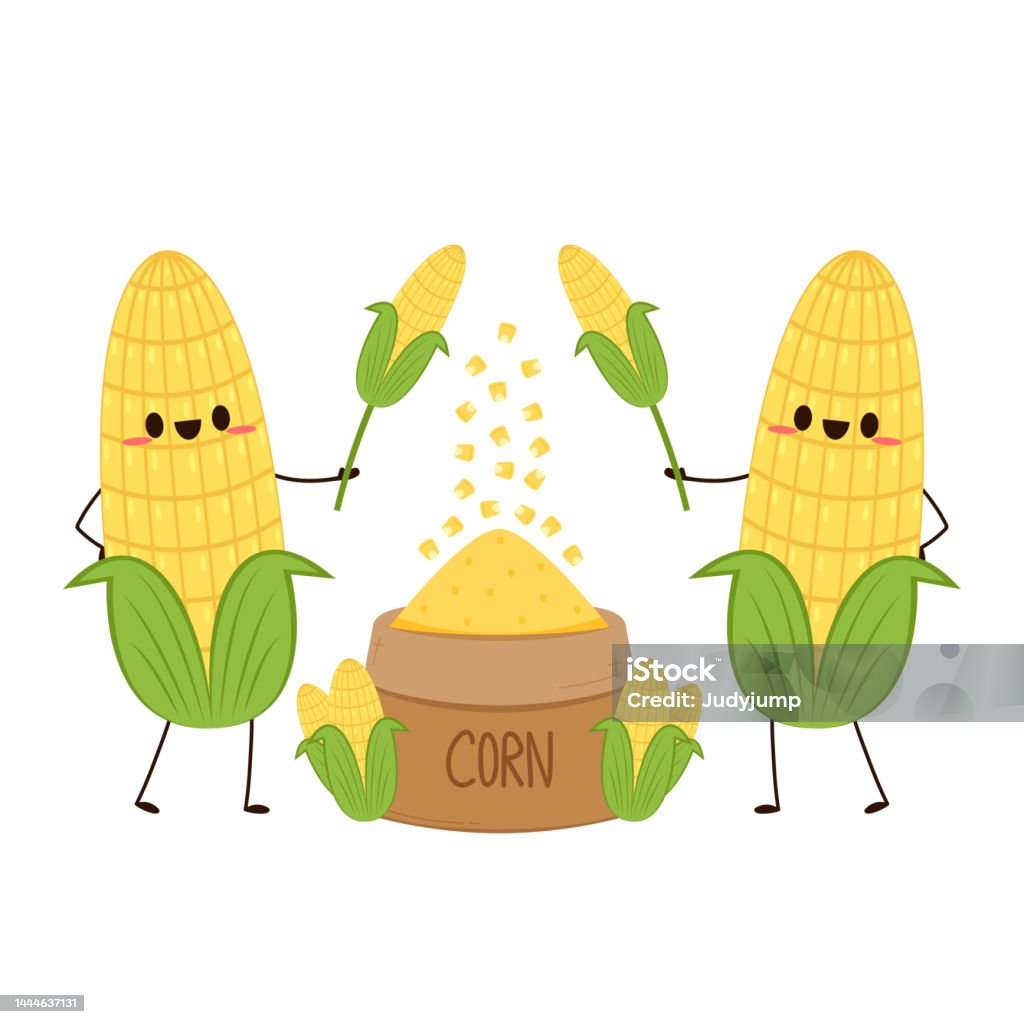 Corn Cartoon Vector Cute Vegetable Vector Character Isolated On White