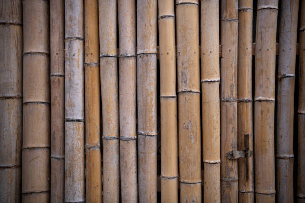Bamboo Wood Pictures | Download Free Images on Unsplash