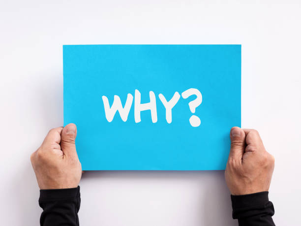 Why Pictures | Download Free Images on Unsplash