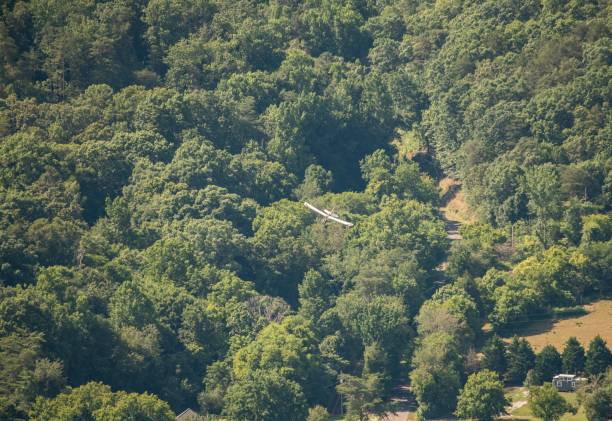 Free Stock Photo of Small Plane Flying Over Dense Forest | Download ...