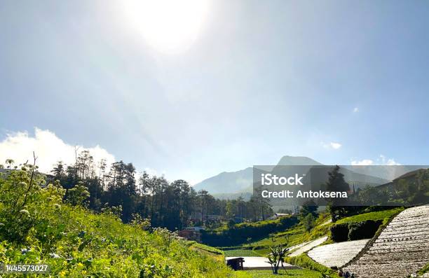 Pemandangan Panorama Gunung Dan Lapangan Hijau Yang Indah Lanskap Yang ... Pemandangan Panorama Gunung Dan Lapangan Hijau Yang Indah Lanskap Yang ...