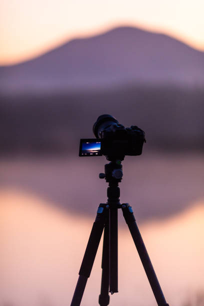 Mirrorless Pictures | Download Free Images on Unsplash