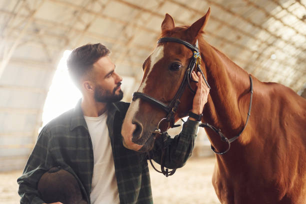 Free Stock Photo of Man Sitting Next to Horse | Download Free Images ...