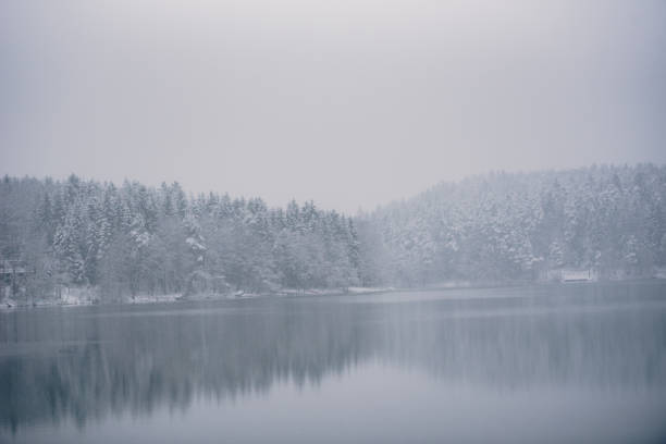 Winter Lake Pictures | Download Free Images on Unsplash