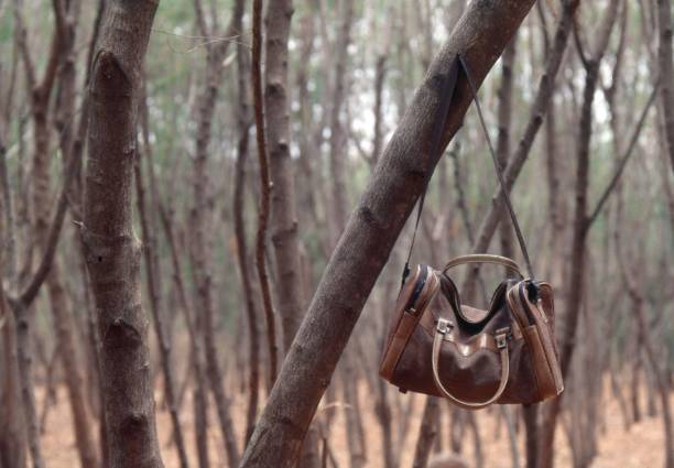 Free Stock Photo of Vintage leather bag in forest ambiance | Download ...