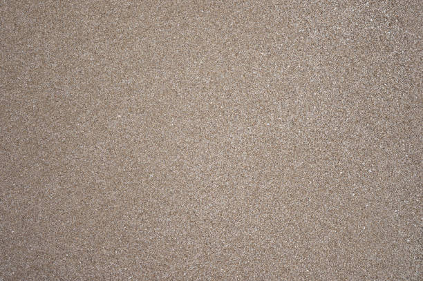 Free picture: Wet beach sand texture close-up