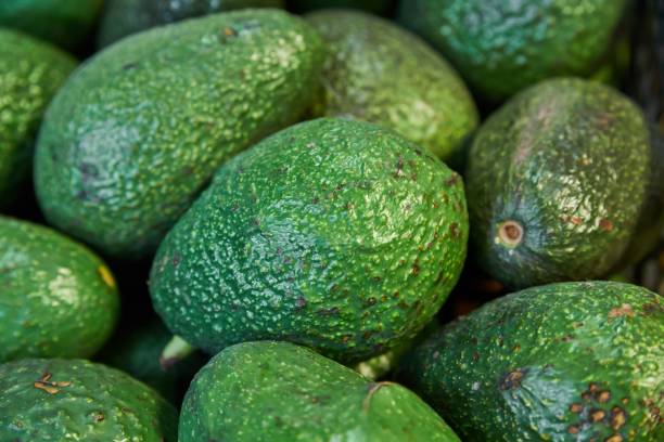 Frut Pictures | Download Free Images on Unsplash