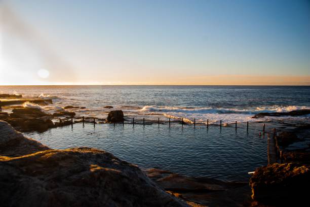 Rockpool Pictures | Download Free Images on Unsplash