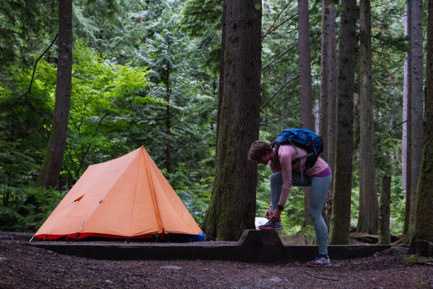 Forest Camping Pictures | Download Free Images on Unsplash