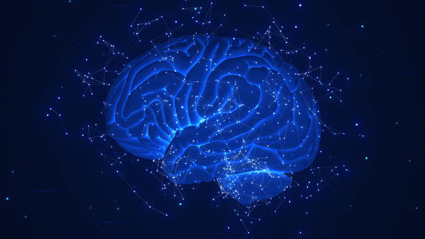 16,300+ Printed Circuit Board Brain Stock Photos, Pictures & Royalty ... 16,300+ Printed Circuit Board Brain Stock Photos, Pictures & Royalty ...