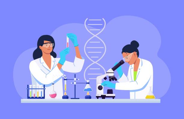 Download Scientist, Laboratory, Doctor. Royalty-Free Stock Illustration ...