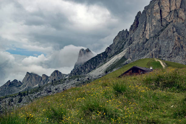 Ladscape Pictures | Download Free Images on Unsplash