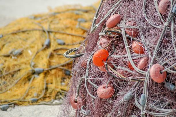 Fishnet Pictures | Download Free Images on Unsplash