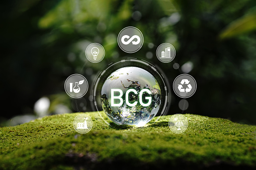 Bcg Concept For Sustainable Economic Development Bioeconomy Circle