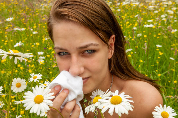 Hayfever Pictures | Download Free Images on Unsplash