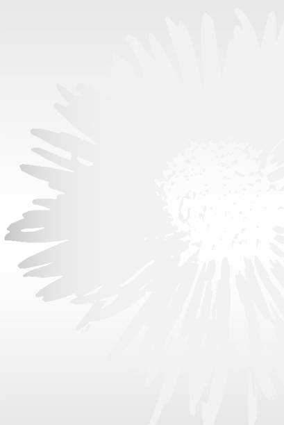 Free Stock Photo of White Abstract Flower | Download Free Images and ...