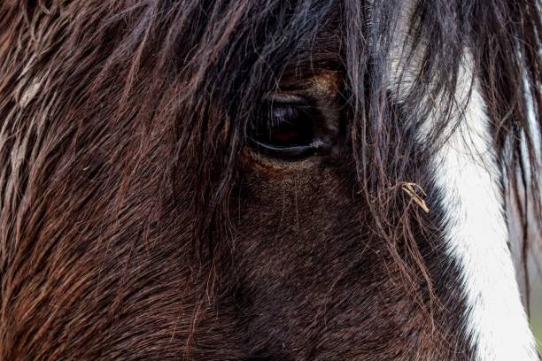 Shire Pictures | Download Free Images on Unsplash