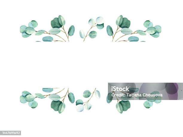 Cadre Horisontal Floral Aquarelle Branches Deucalyptus Isolées Sur Fond