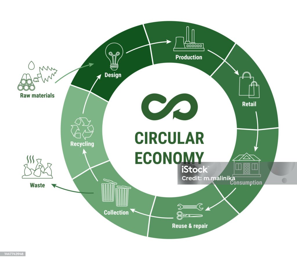 Circular Economy Line Infographic On Green Diagram Sustainable Business
