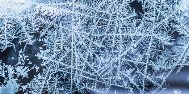 Frosted Glass Pictures | Download Free Images on Unsplash
