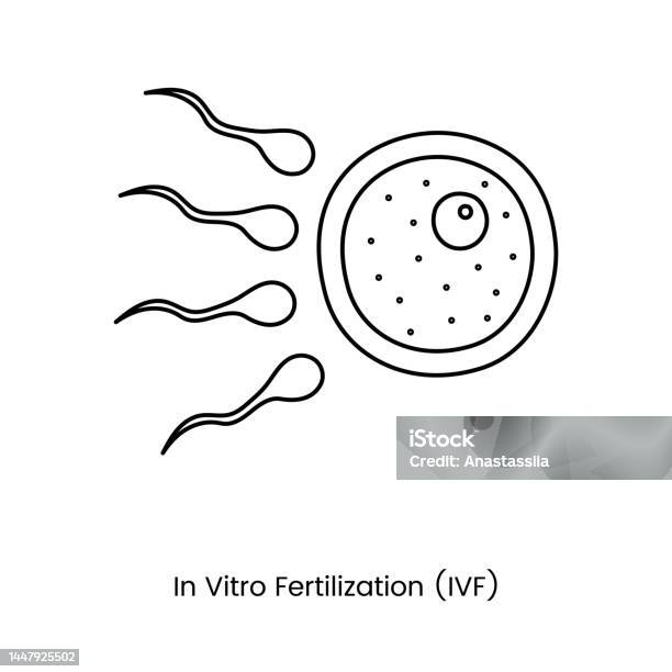 The Egg Is Unfertilized And The Sperm Are An Icon Line In The Vector