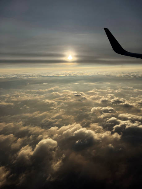 Window Sun Pictures | Download Free Images on Unsplash