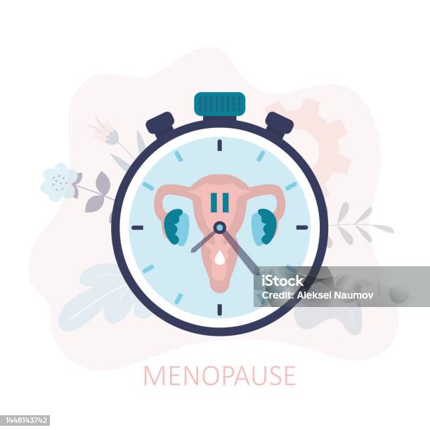 Woman Biological Clocks Limited Fertility Medical Concept Feminine Age