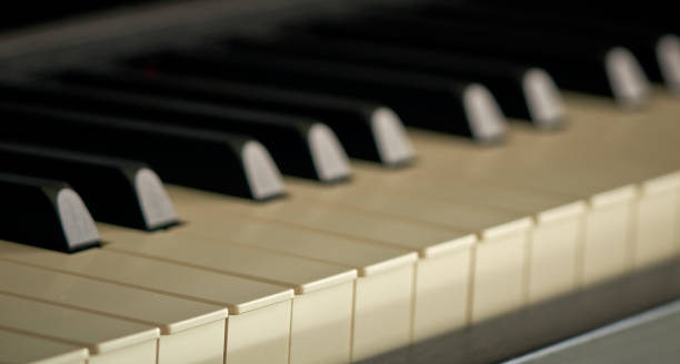 Free Stock Photo of A close up of a piano keys | Download Free Images ...
