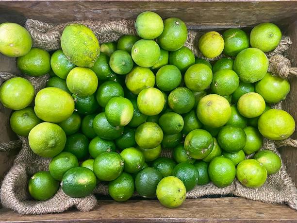500+ Lime Pictures | Download Free Images on Unsplash