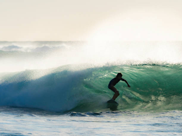 Free Stock Photo of A person surfing on a wave | Download Free Images ...