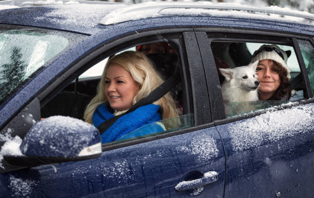 Family Driving Pictures | Download Free Images on Unsplash