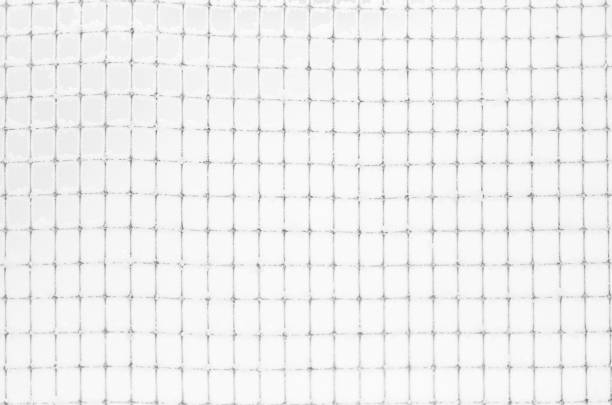 500+ Low Contrast Pictures | Download Free Images on Unsplash
