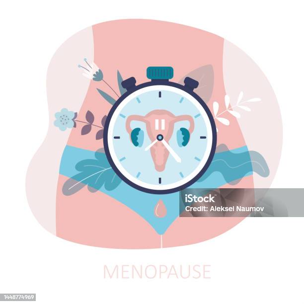 Part Of Woman Body With Biological Clocks Limited Fertility Medical