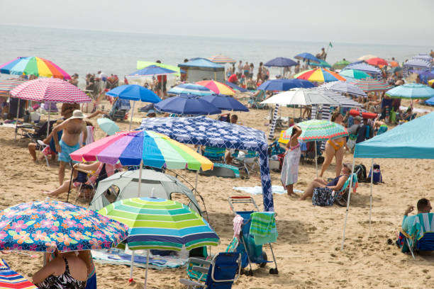 Free Stock Photo of Summer beachgoers - people on the beach in Odeceixe ...