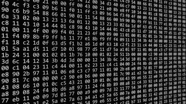 Debugging Pictures | Download Free Images on Unsplash
